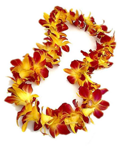 Single Lei R | Graduation Day Flowers